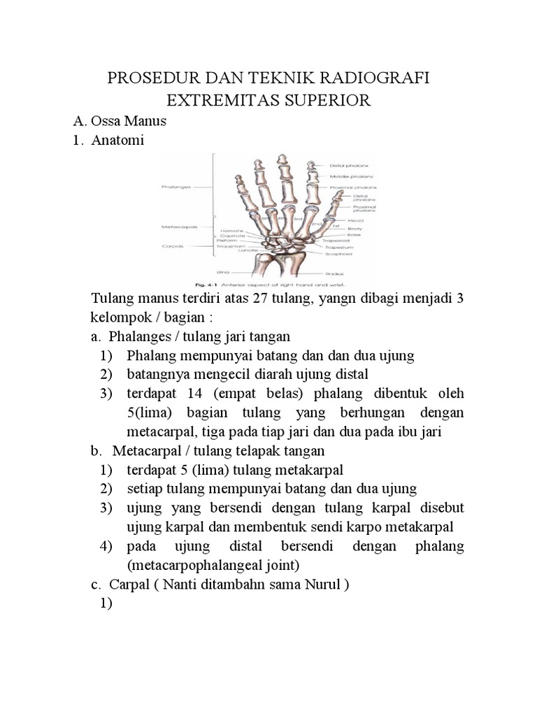 (A) Prosedur Dan Teknik Radiografi Extremitas Superior | PDF | Metode & Bahan Ajar | Teknologi ...