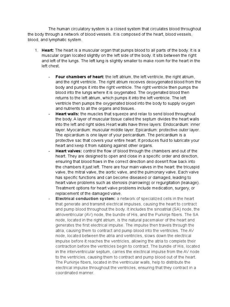The Human Circulatory System. | PDF | Heart | Heart Valve