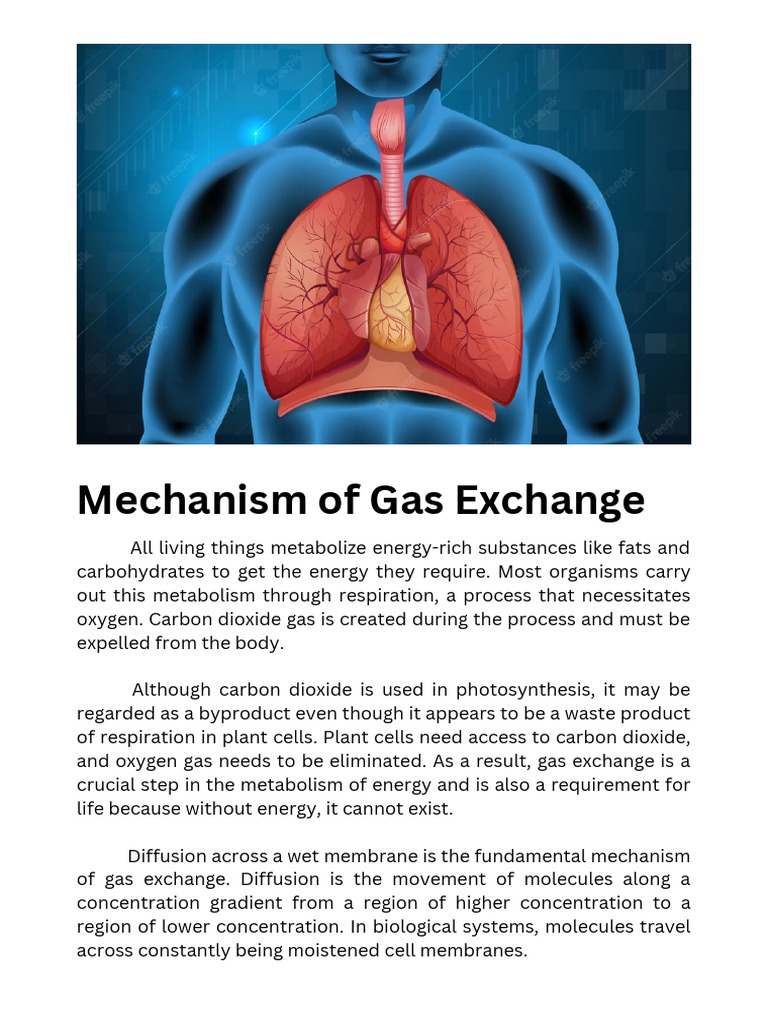 Mechanism of Gas Exchange in Organisms | PDF | Lung | Stoma