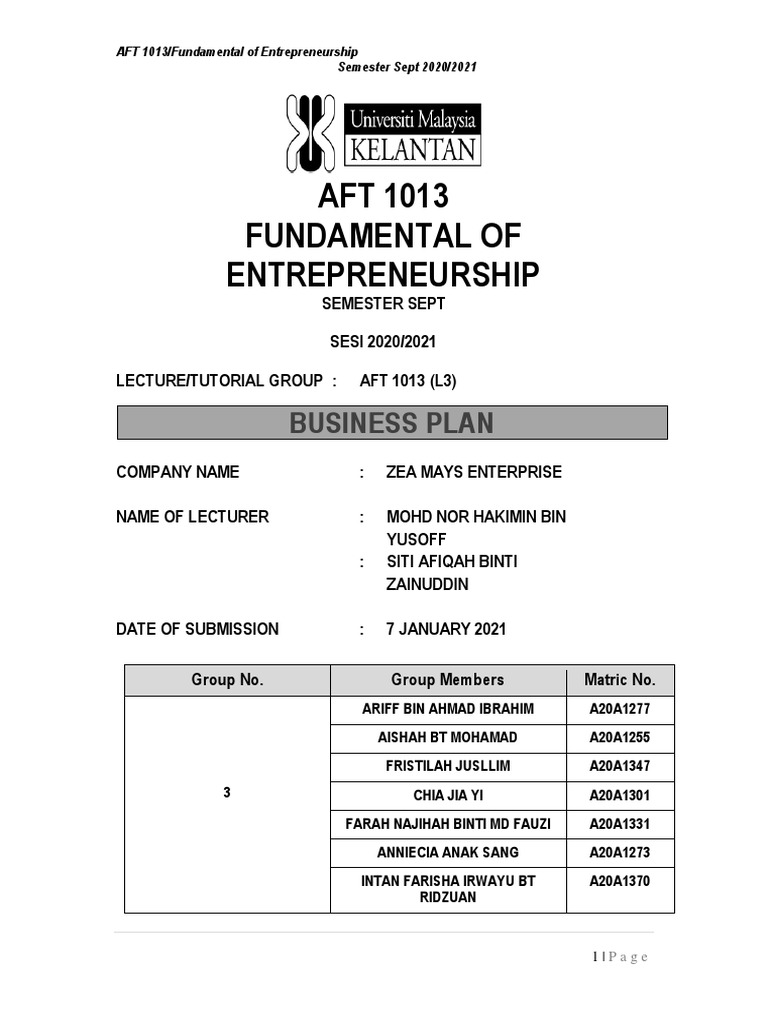 AFT 1013 Fundamentals of Entrepreneurship Business Plan | PDF | Balance ...
