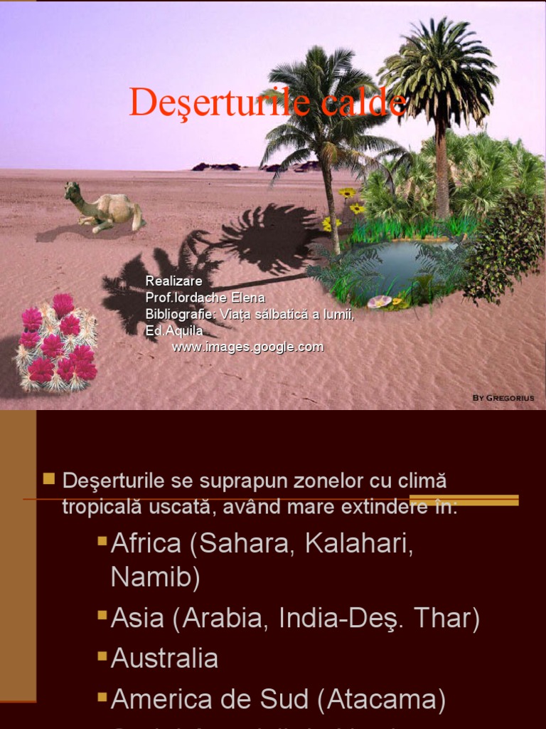 Desert Uri | PDF