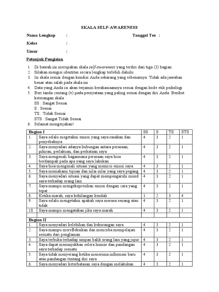 Skala Self Awareness | PDF