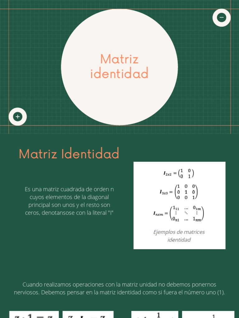 Propiedades de Matrices: Identidad y Nula | PDF