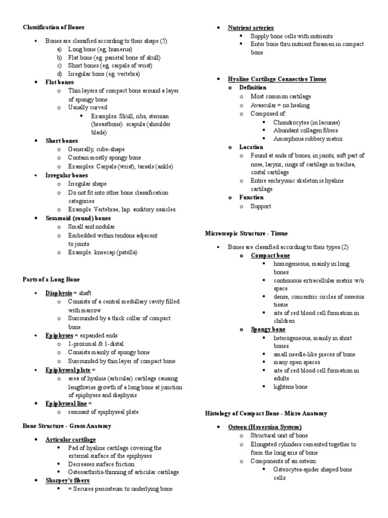 Classification of Bones | PDF | Bone | Anatomical Terms Of Motion