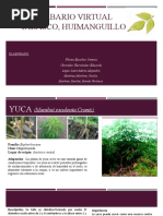 Características y usos del matapalo | PDF | Arboles | Hoja