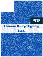 Human Karyotyping Activity | PDF | Karyotype | Chromosome
