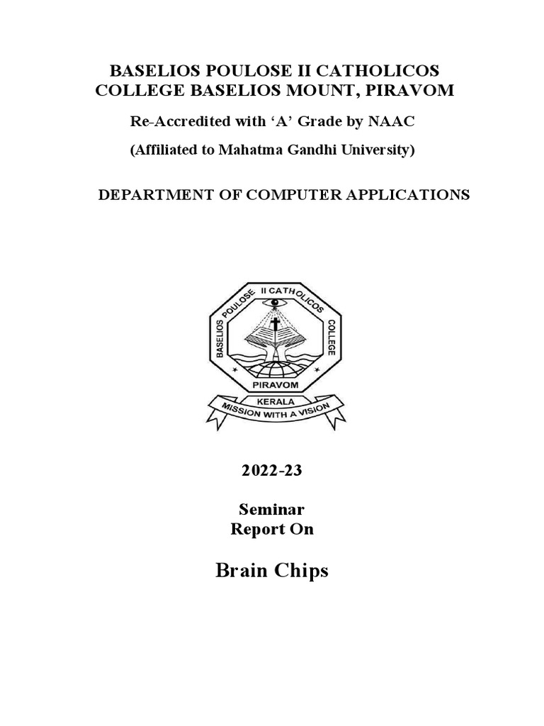 Brain Chip | PDF | Brain | Retina