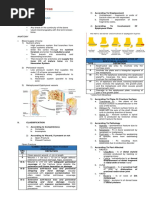 Gustilo-Anderson Classification Overview | PDF