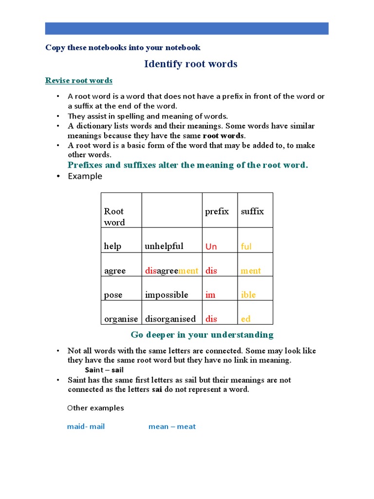 Identify Root Words | PDF