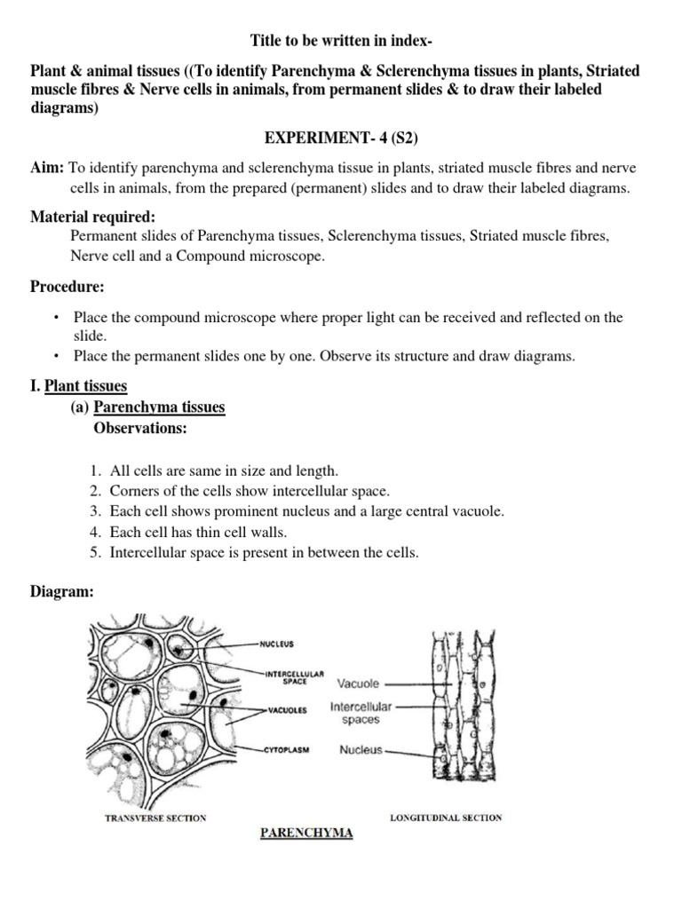 STD Ix Exp-4 (Plant & Animal Tissue) | PDF