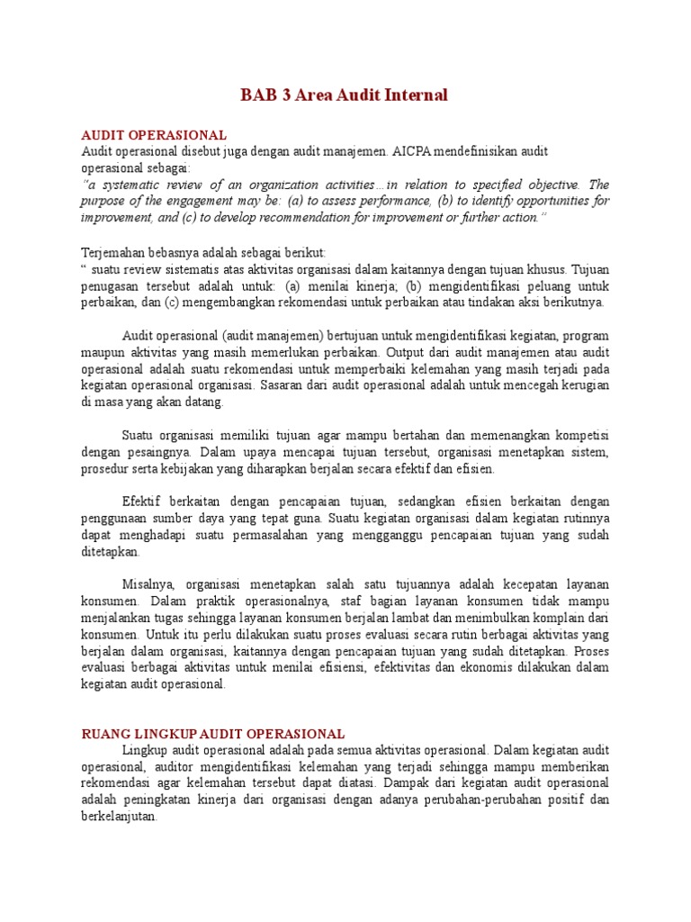 BAB 3 Area Audit Internal | PDF