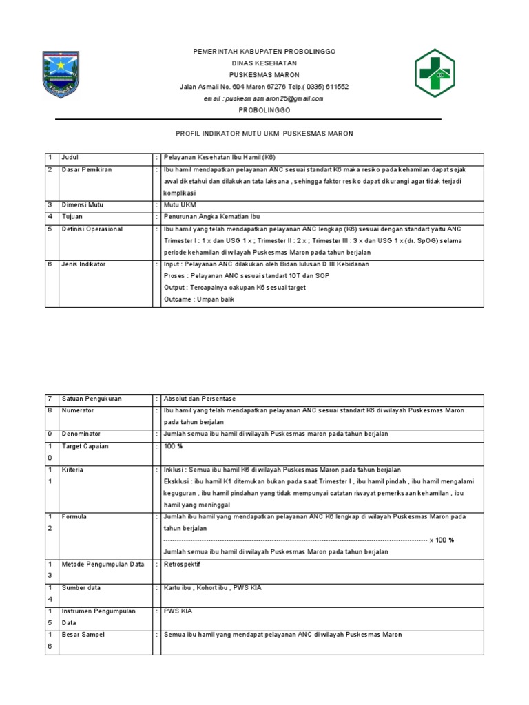 Profil Indikator Mutu Kia | PDF