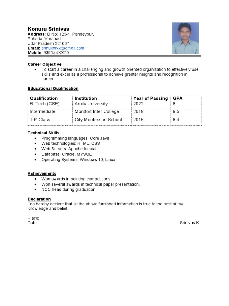 Simple Fresher Resume Format 3 | PDF