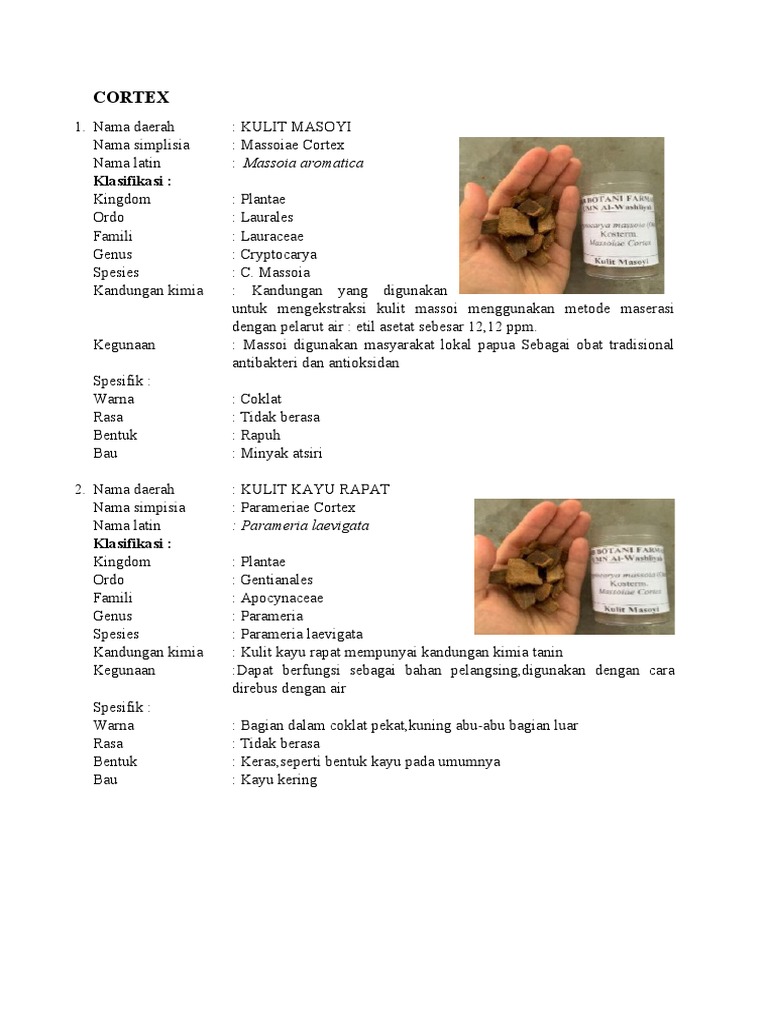 Ekstrak Kulit dan Rhizoma Tanaman Obat | PDF | Sains & Matematika
