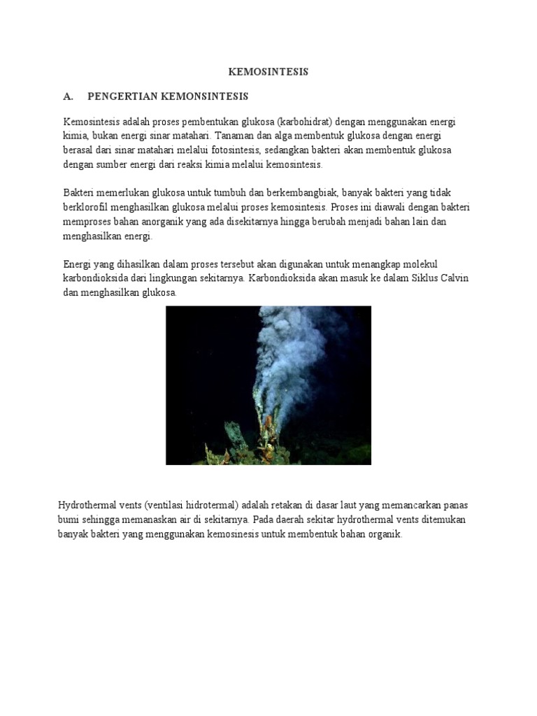 Pengertian Dan Proses Kemosintesis | PDF