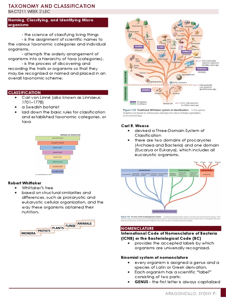 Bact211 Lec Week 2 Taxonomy and Classification | Download Free PDF | Cell Membrane | Bacteria