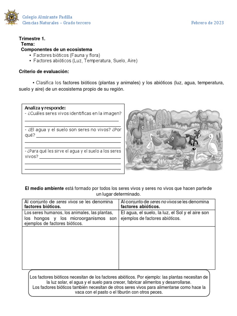 Actividad Factores Bioticos y Abioticos | PDF | Ciencia y matemáticas