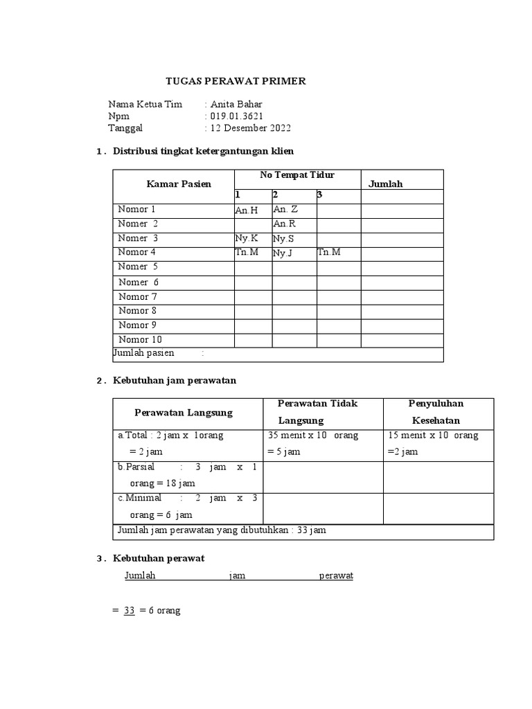 Tugas Perawat Primer | PDF