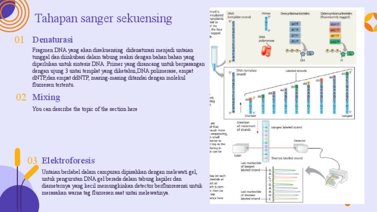 Tahapan Metode Sanger Sekuensing DNA | PDF | Sains & Matematika | Puisi