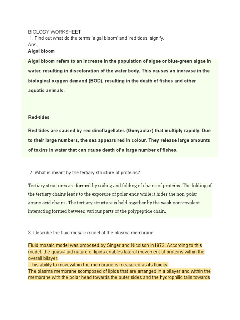 Biology Worksheet | PDF | Cell Membrane | Blood