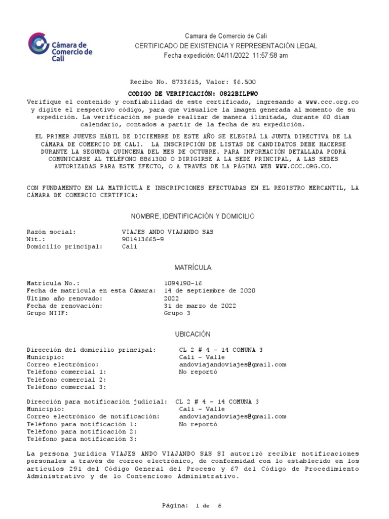 Camara de Comercio de Cali | PDF | Turismo | Industrias de servicio