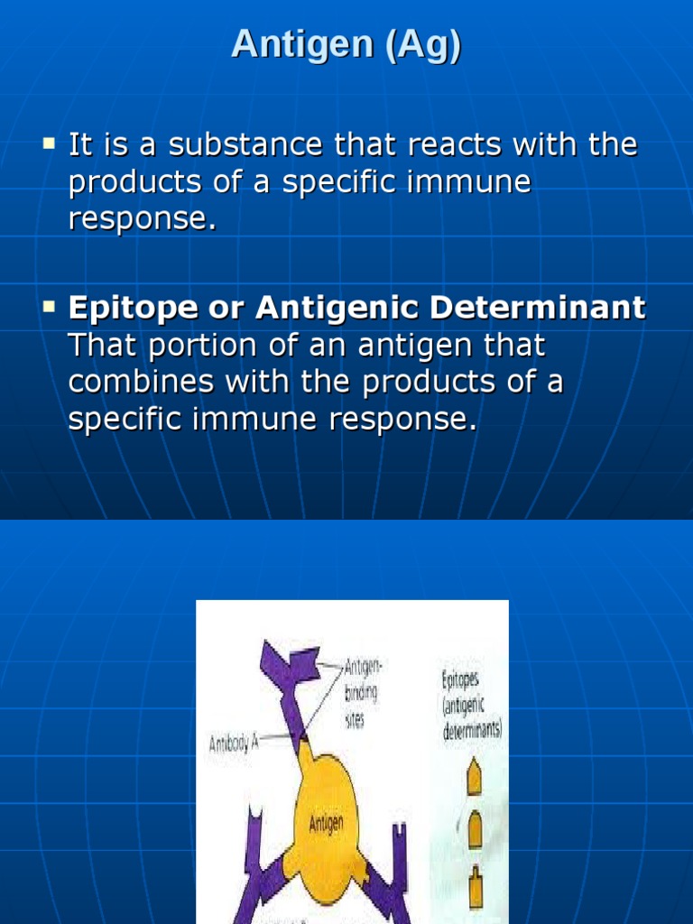 Antigen | PDF | Antibody | Antigen