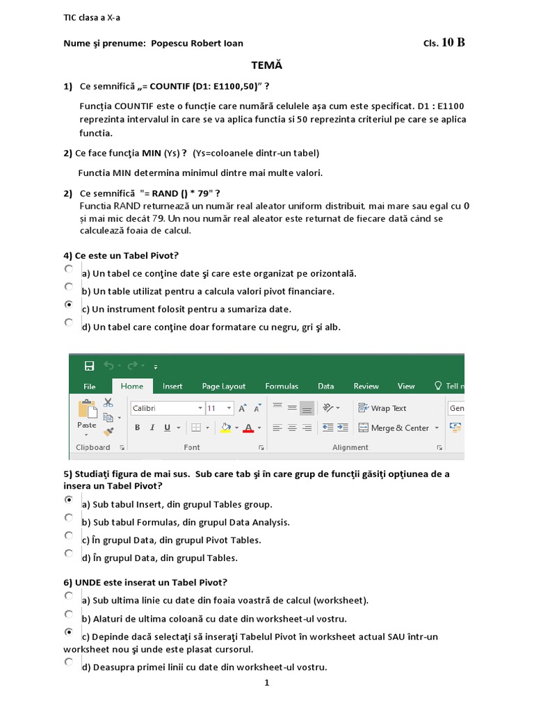 TEMA TIC Tabele Pivot | PDF