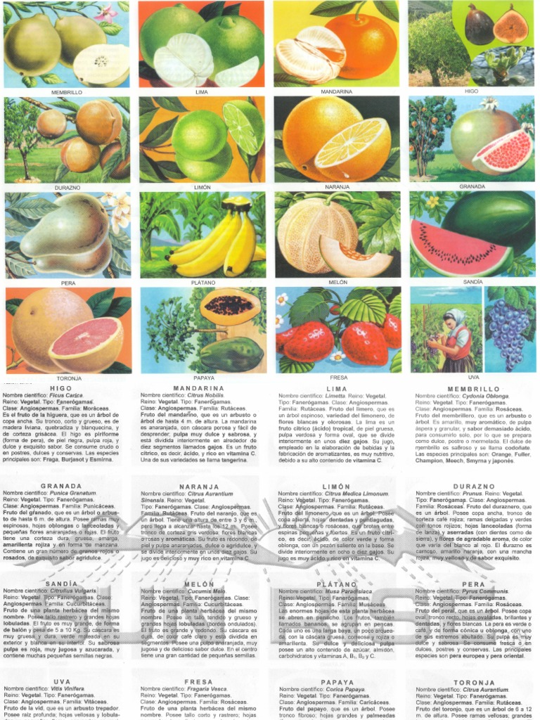 Las Frutas | PDF