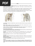 Ángulo de Louis | PDF | Tórax | Anatomía humana