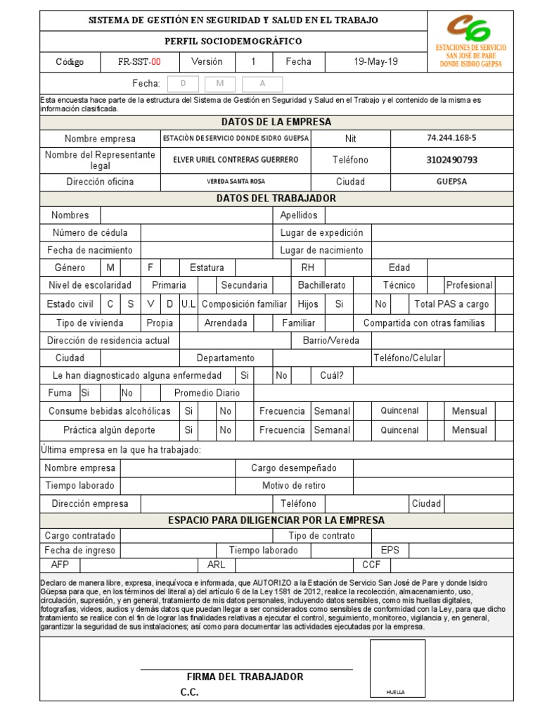 For-SST-10 Formato Descripción Sociodemográfico | PDF