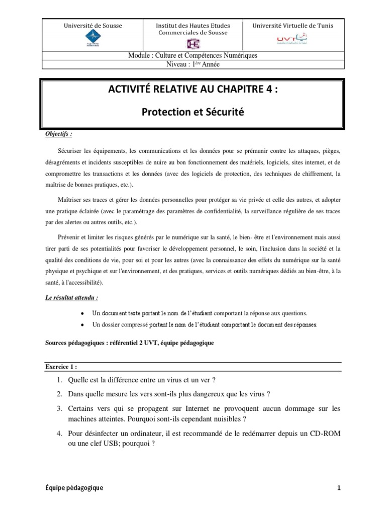 Activite Domaine D4 | PDF | Cookie (informatique) | l'Internet