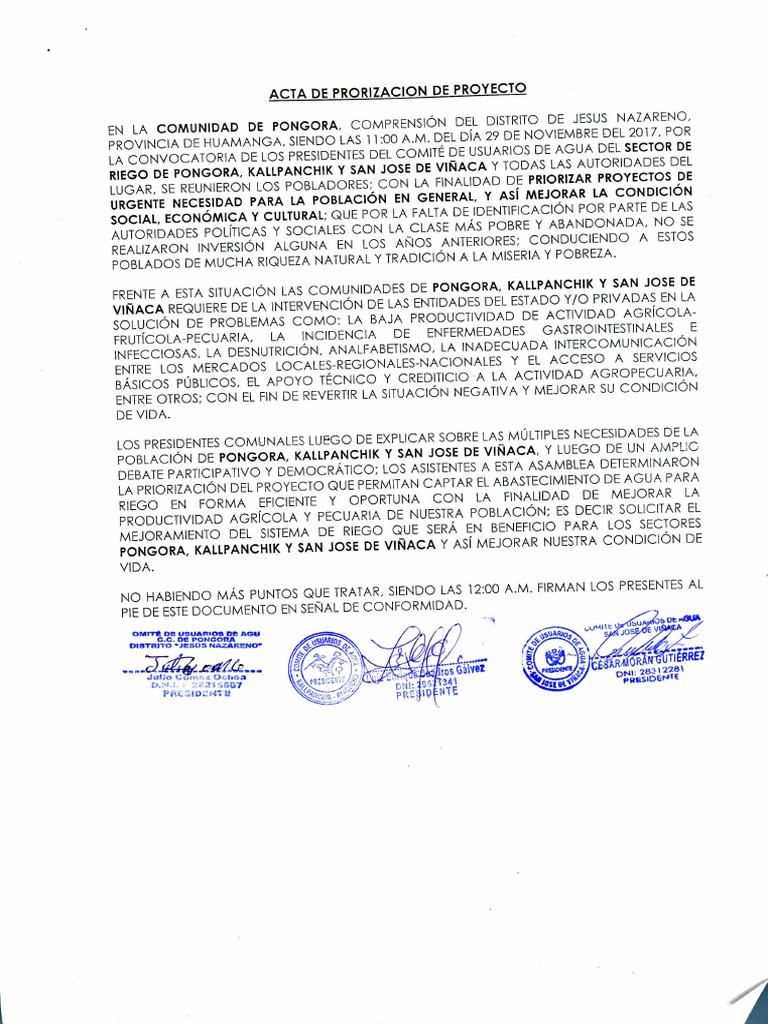 Acta de Priorizacion de Proyecto | PDF