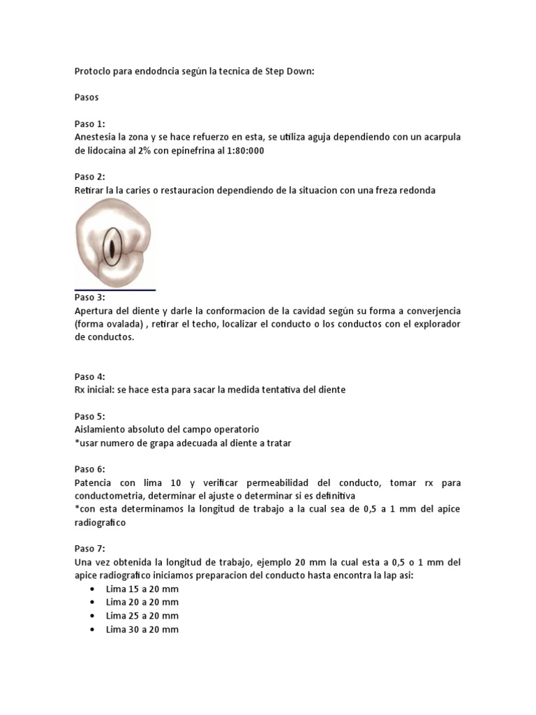 Protoclo para Endodoncia Según La Tecnica de Step Down | PDF