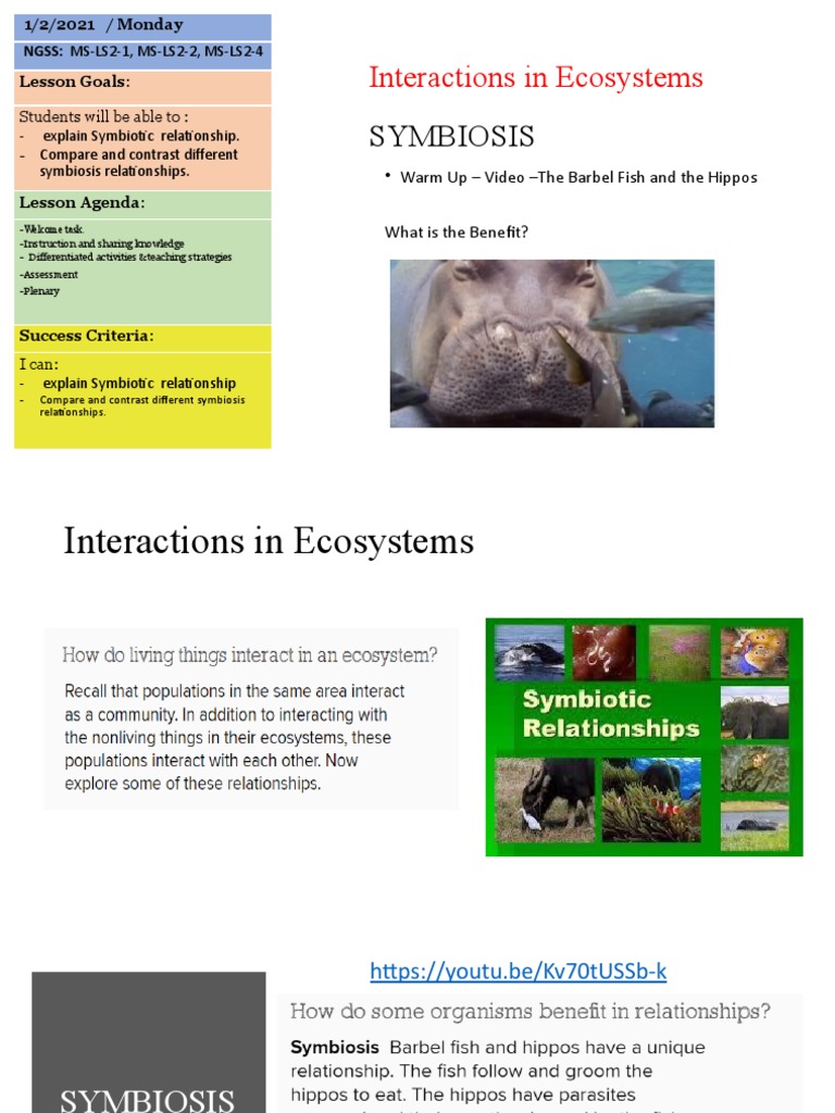 Interactions in Ecosystem | PDF | Wellness | Science & Mathematics