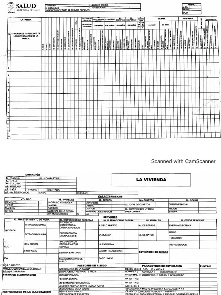 Formato Tarjeta Censal | PDF
