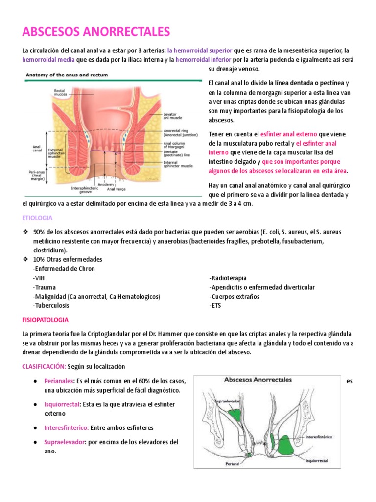 Abscesos Anorrectales | PDF | Enfermedad de Crohn | Hemorroides