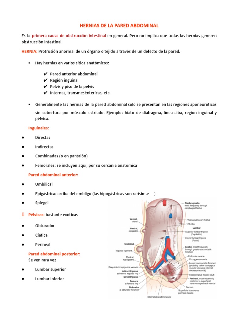 Hernias de La Pared Abdominal | PDF | Abdomen | Pelvis