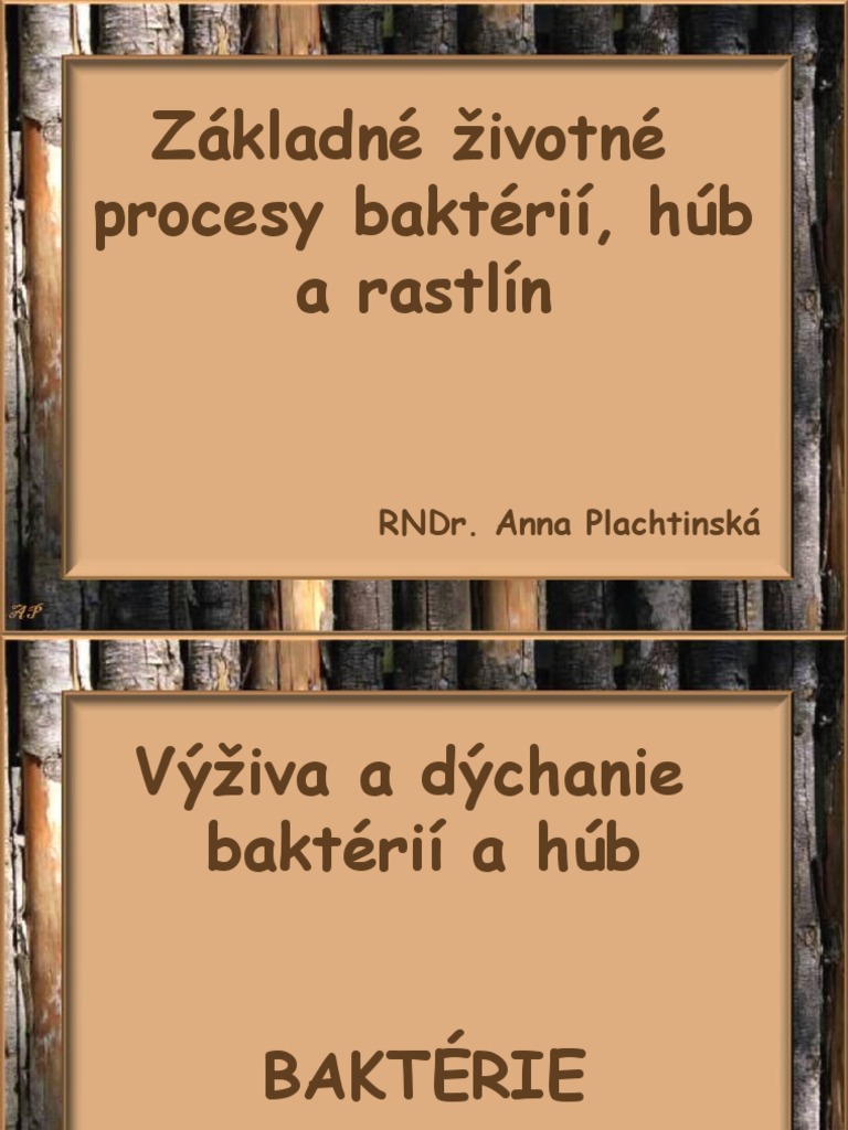 ZÃ¡kladnÃ© Å Ivotnã© Procesy baktÃ©riÃ, Hãºb A Rastlã N | PDF