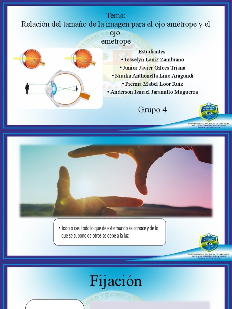 Grupo 4 | PDF | Ojo humano | Percepción visual