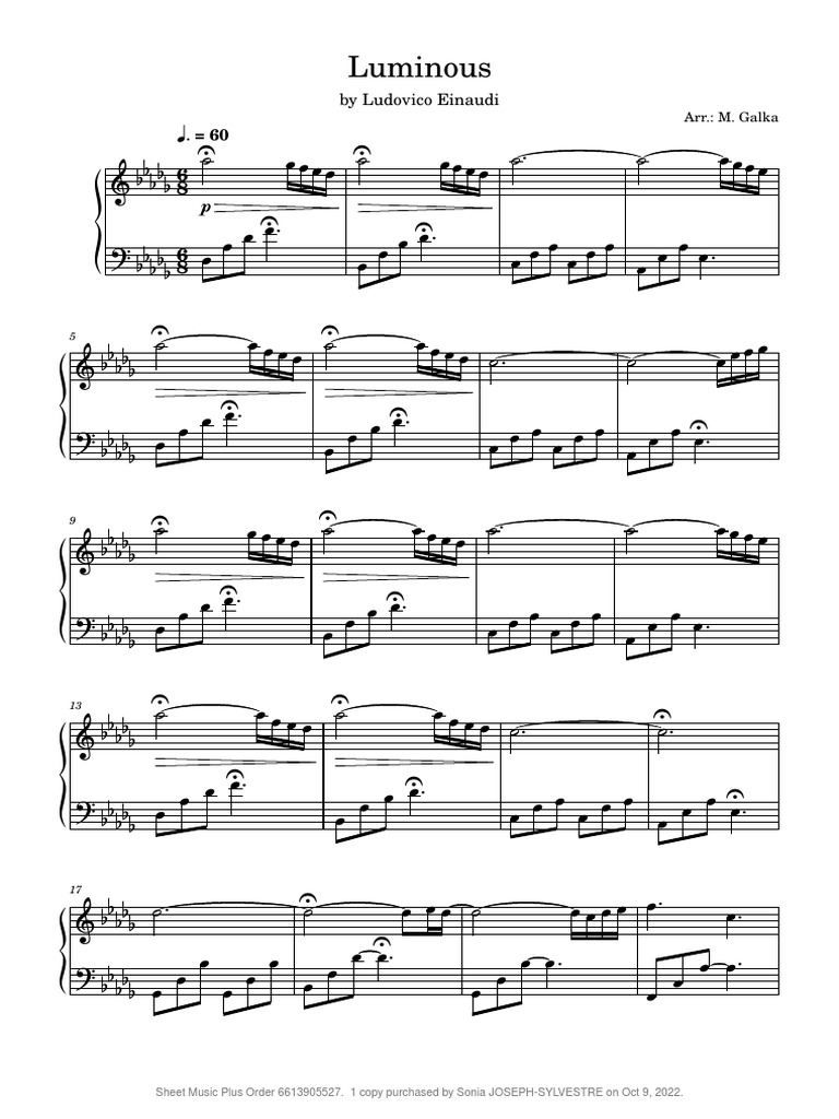 Luminous | PDF | Freedom Of Expression Law | Intellectual Works