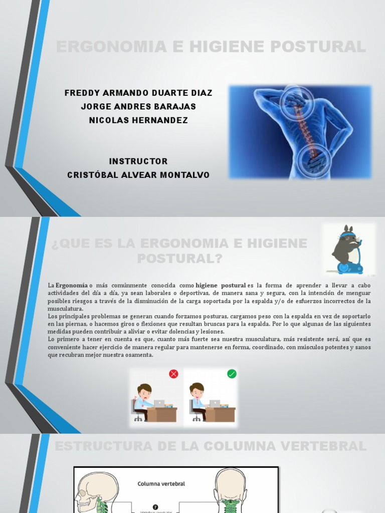 Ergonomia e Higiene Postural | PDF | La columna vertebral | Dolor lumbar