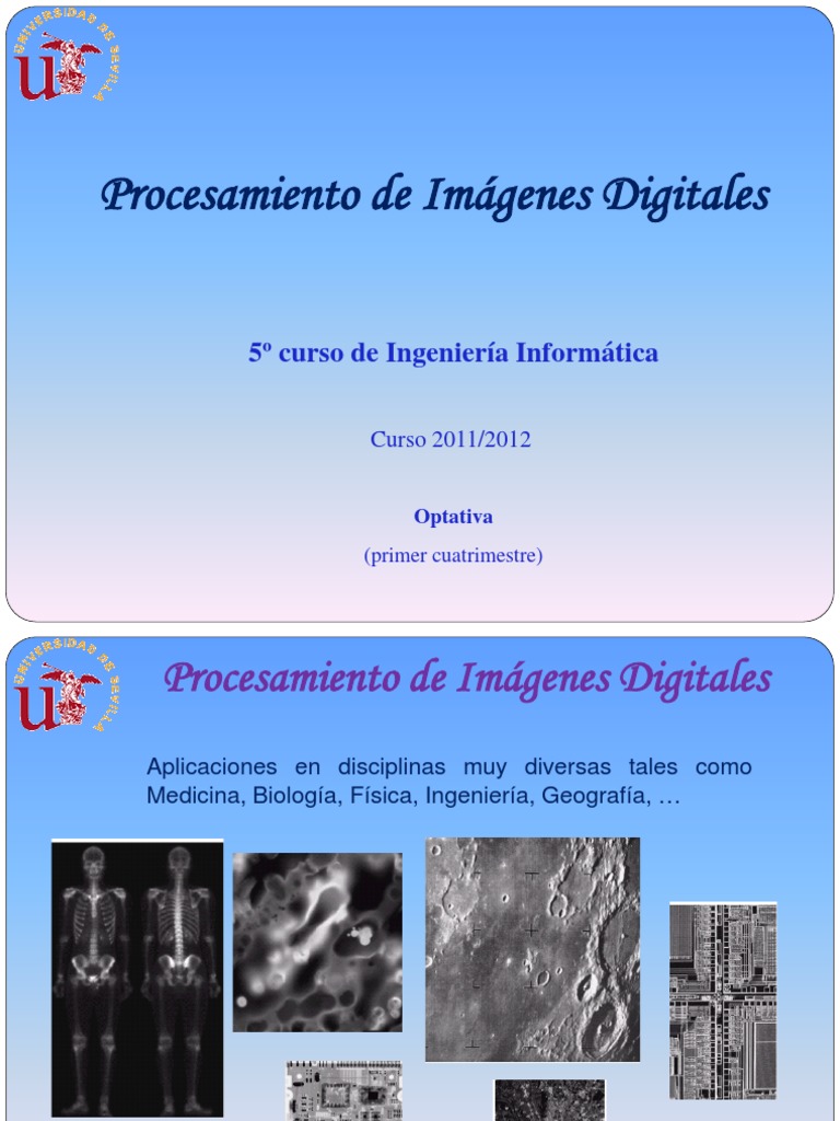 Presentacion PID | PDF | Segmentación de imagen | Ingeniería Informática