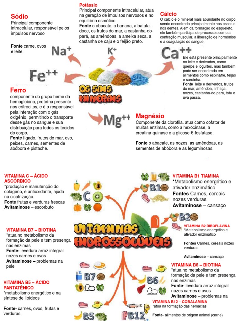 Mapa Mental Vitaminas Hidrossoluveis e Sais Minarais | PDF | Vitamina ... Mapa Mental Vitaminas Hidrossoluveis e Sais Minarais | PDF | Vitamina ...