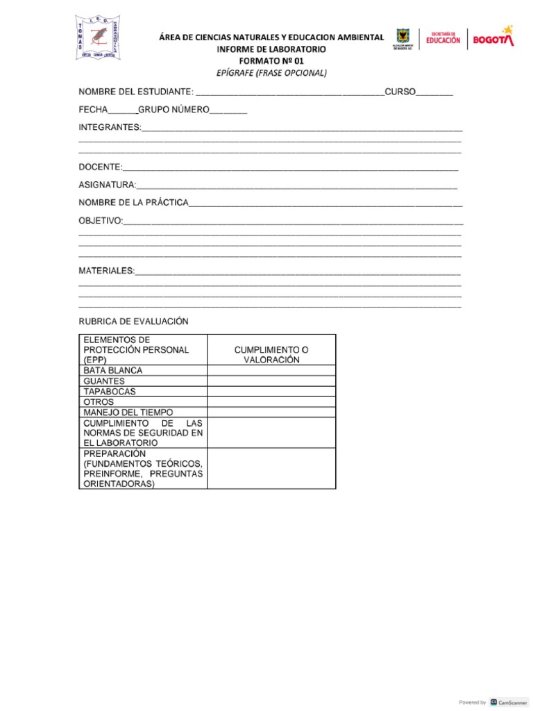 Formato de Laboratorio | PDF