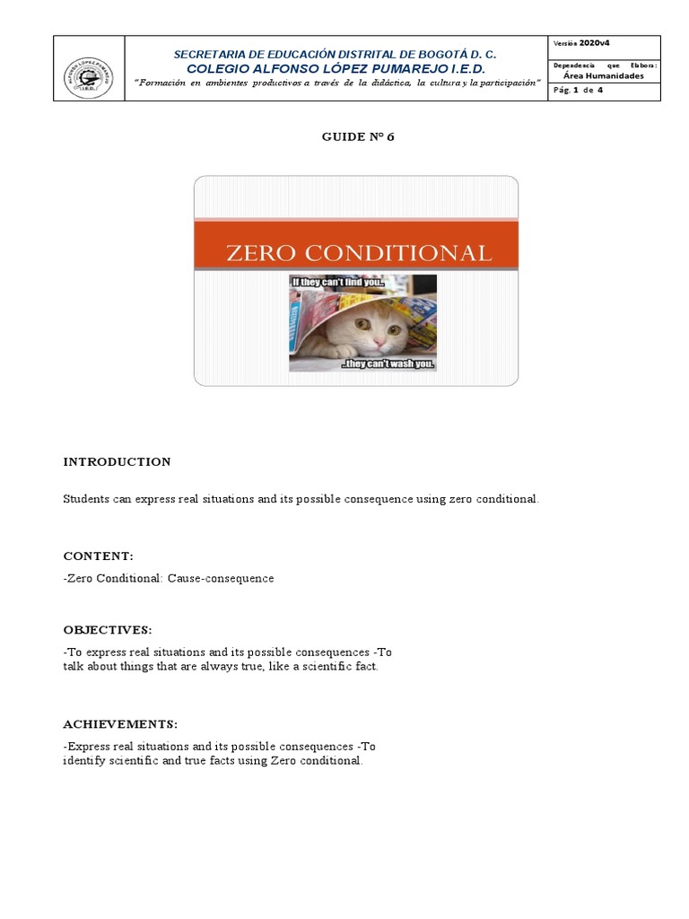 Guide N°5 - Zero Conditional | PDF | Languages | Foreign Language Studies