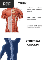Spinal Coding Handout | PDF | Vertebral Column | Vertebra