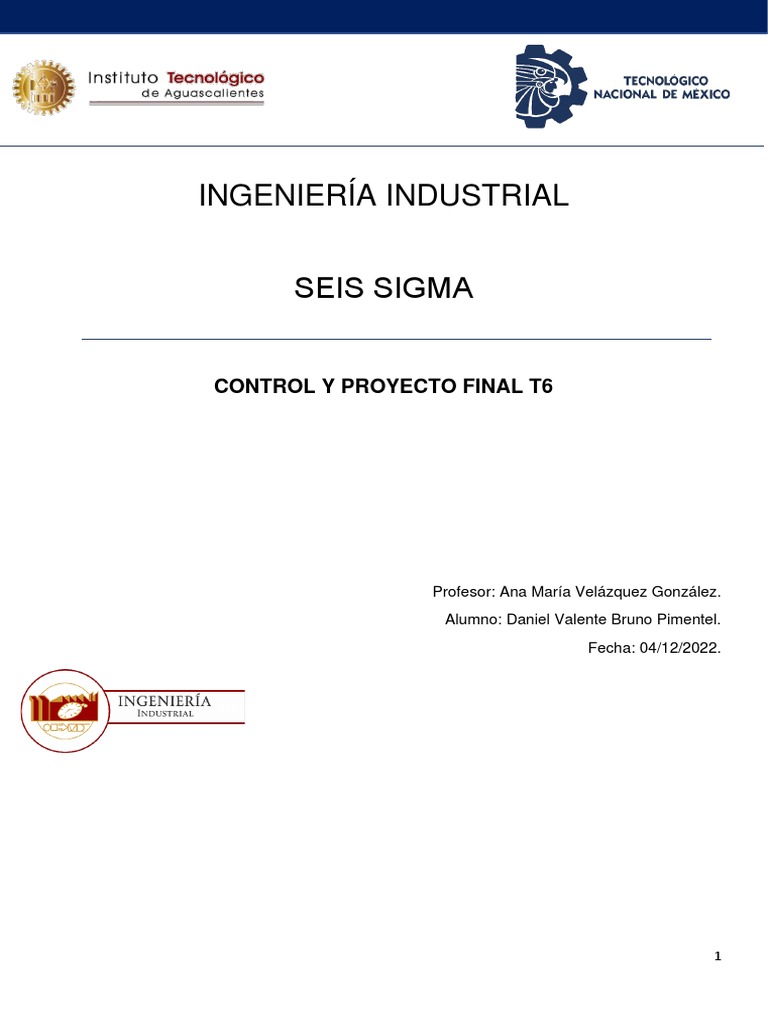 Control y Proyecto Final T6 | PDF | Planificación | Calidad (comercial)