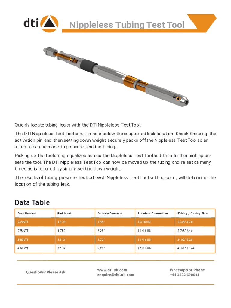 DTI DataSheet - Nippleless Tubing Test Tool | PDF
