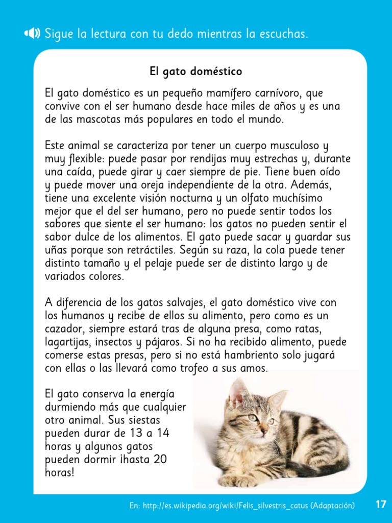 Gato | PDF