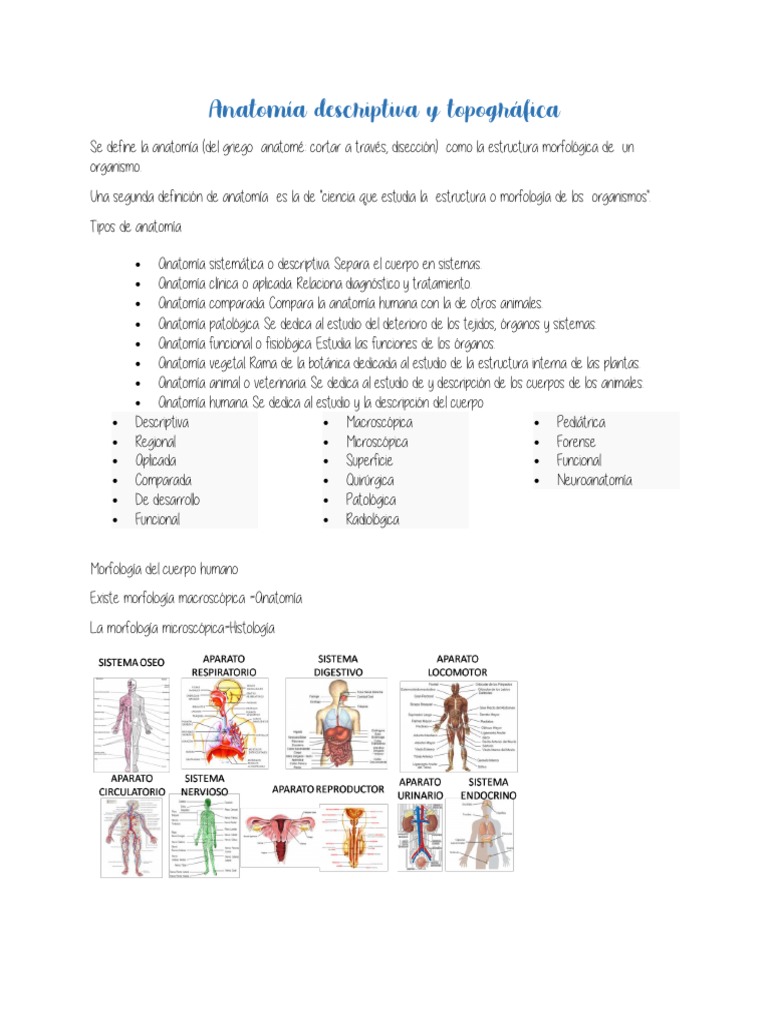 Anatomía Descriptiva y Topográfica | PDF